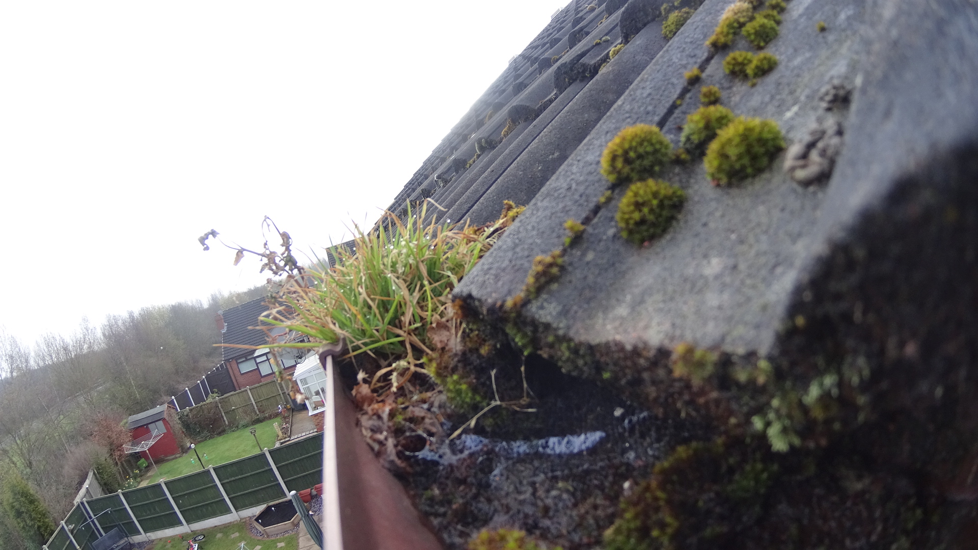 Why moss on your patio could be a warning sign - GutterPRO