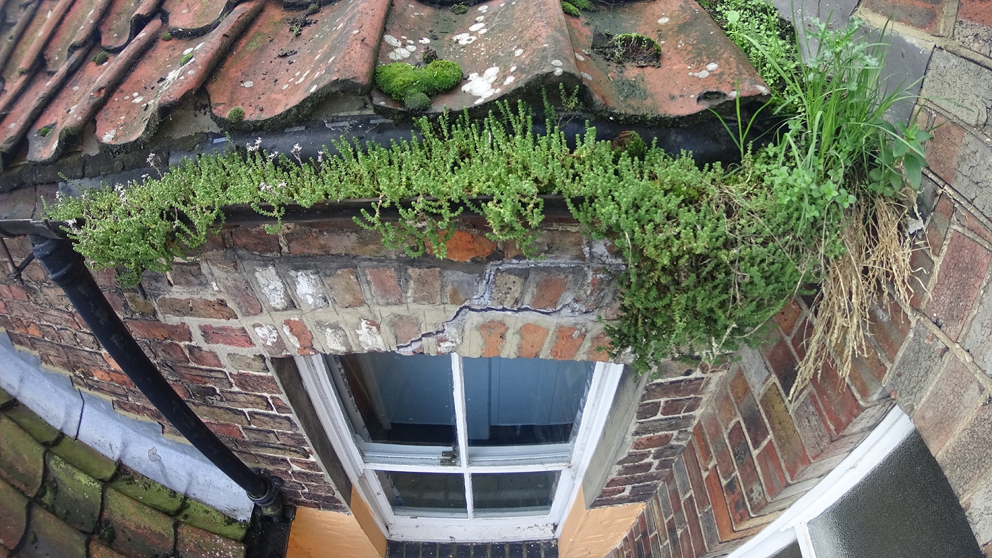 A recent Gutter Cleaning in Kings Lynn - GutterPRO