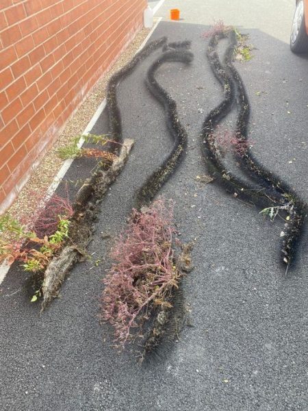 Are Gutter Guards worth the money? - GutterPRO